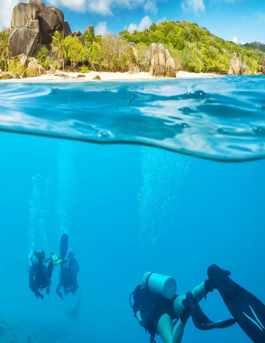 Scuba Diving In Goa - Coast to Coast Adventurers